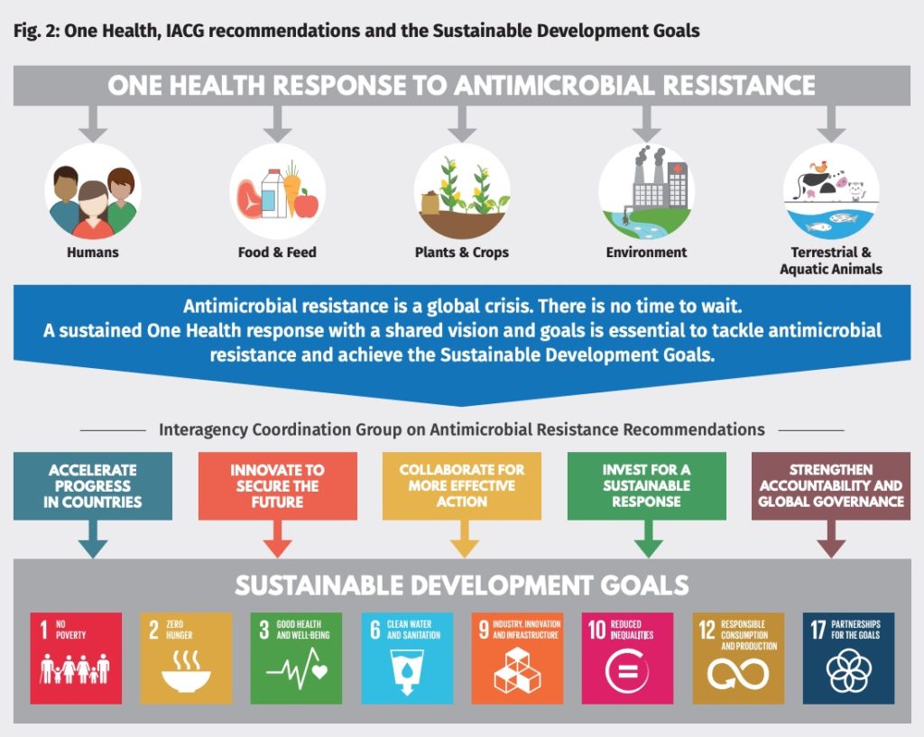 "No Time To Wait" – AMR Could Cause 10 Million Deaths Annually By 2050 ...