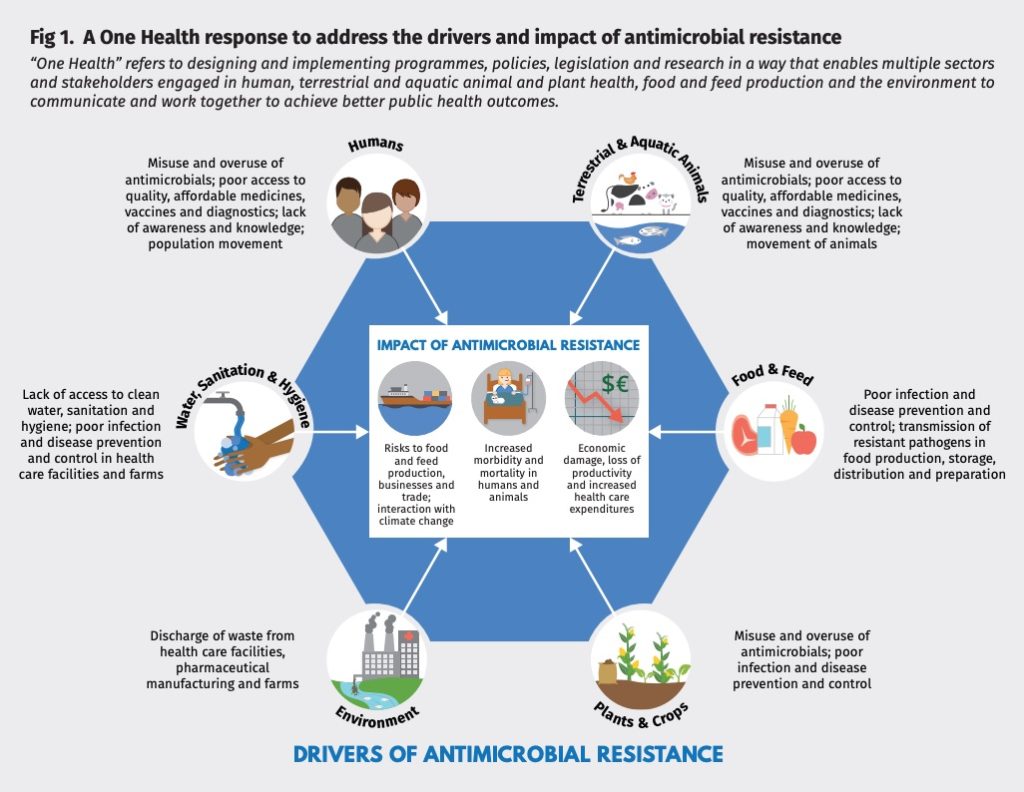 "No Time To Wait" – AMR Could Cause 10 Million Deaths Annually By 2050 ...