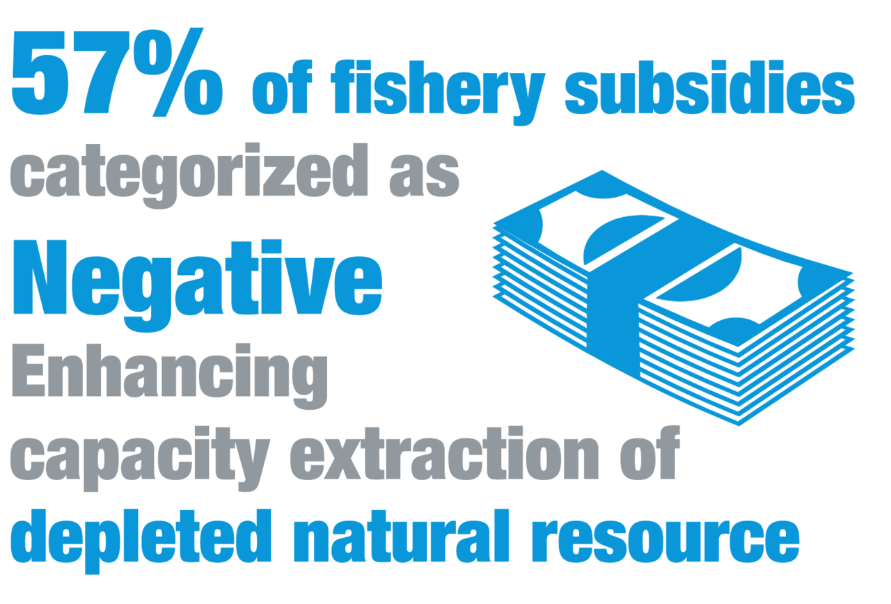 Can Smarter Subsidies Curb An Unhealthy Appetite For Fishing? - Health ...