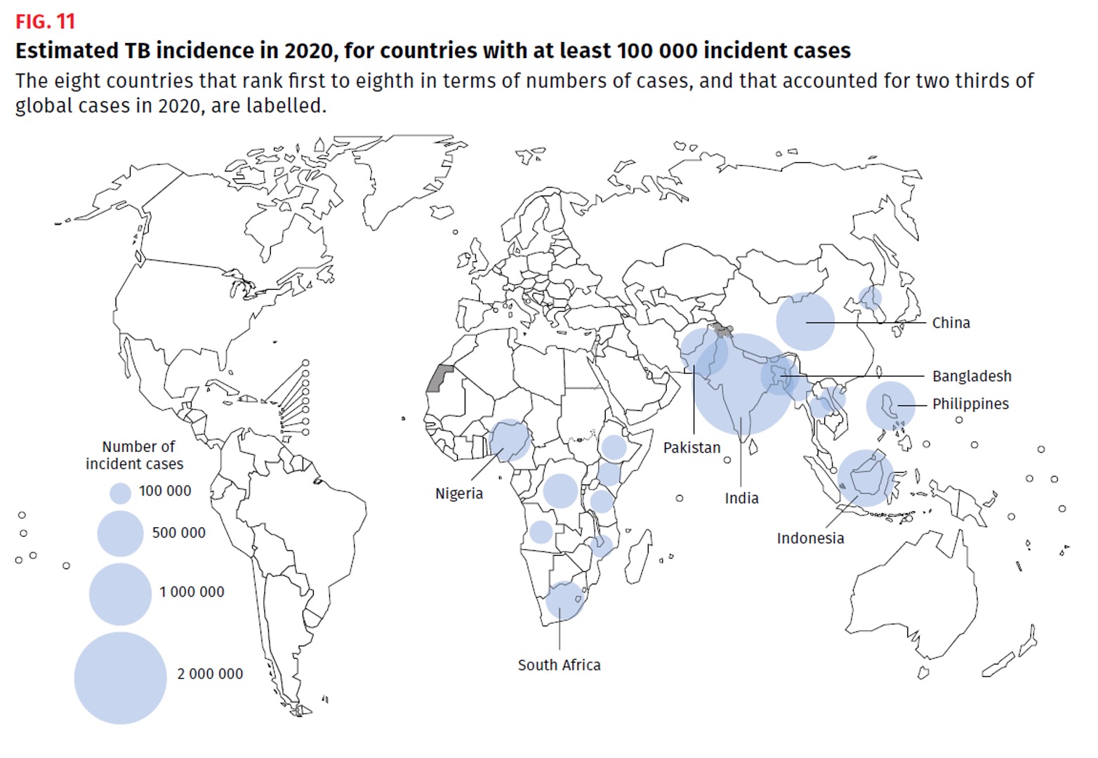 COVID-19 Causes Spike In TB Deaths As Case Detection And Treatment ...