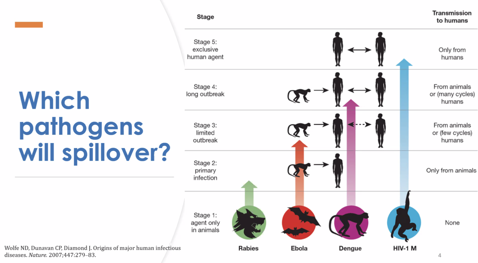 Searching For ‘Pathogen X’ That Will Drive The Next Pandemic - Health ...