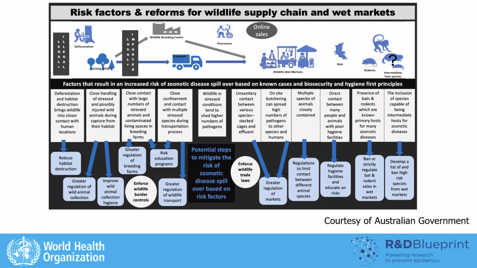 Searching For ‘Pathogen X’ That Will Drive The Next Pandemic - Health ...