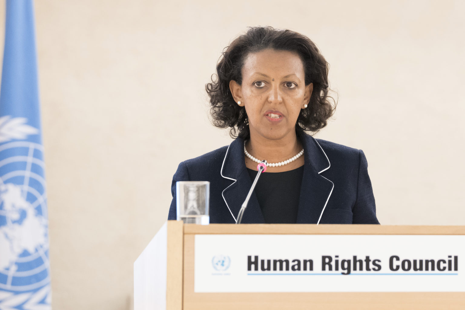 Ethiopian Ambassador Slams WHO Director General Tedros Over Tigray ...