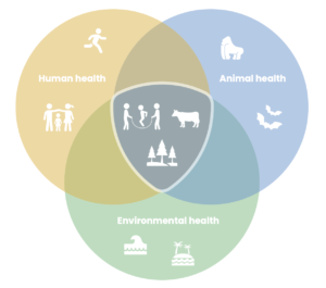 WHO Pandemic Treaty: The Good, The Bad, & The Ugly – An Interview With ...