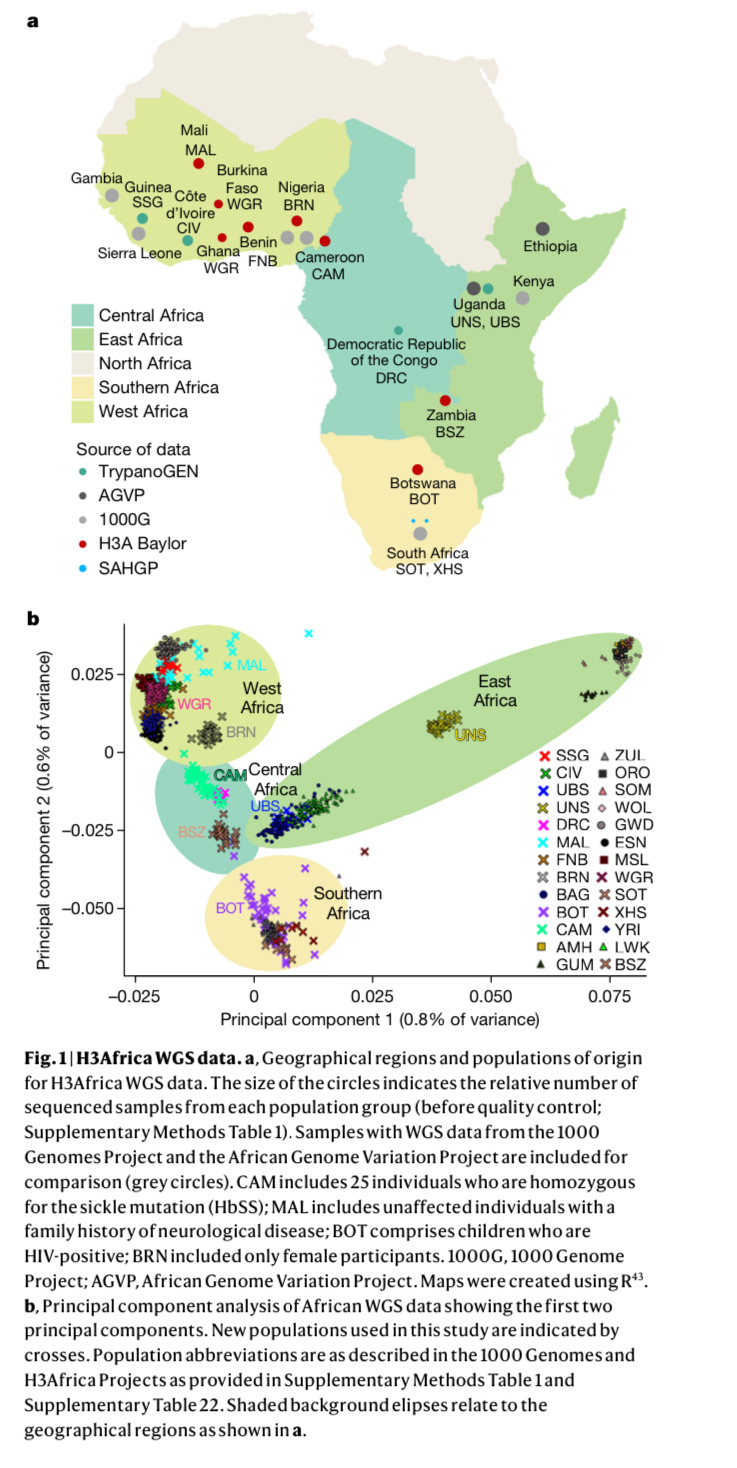 Unlocking The Potential Of Pharmacogenomics In Africa - Health Policy Watch