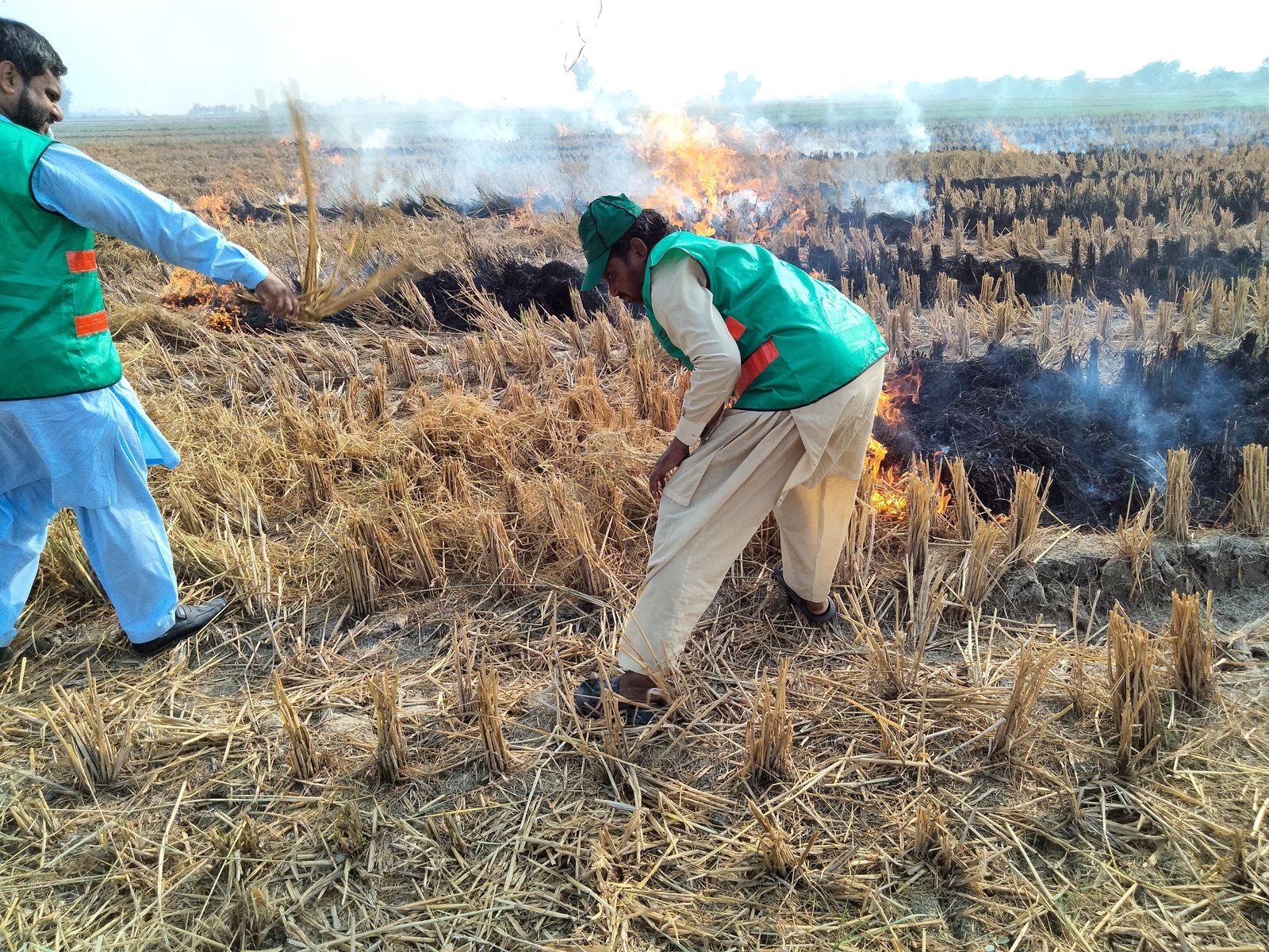 Pakistan's 'Super Seeders' Show Promise In Curbing Stubble Burning, But ...