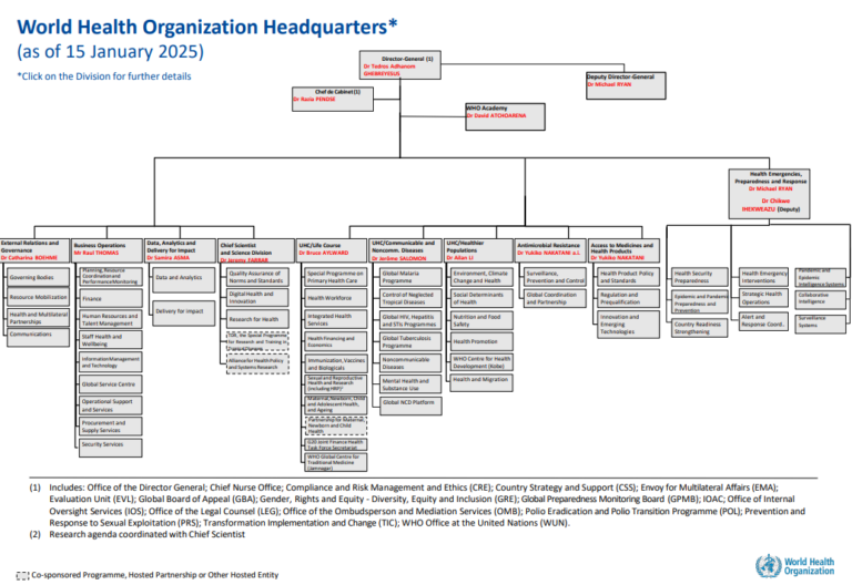 World Health Organization Reorganization Plan Developed With Boston ...
